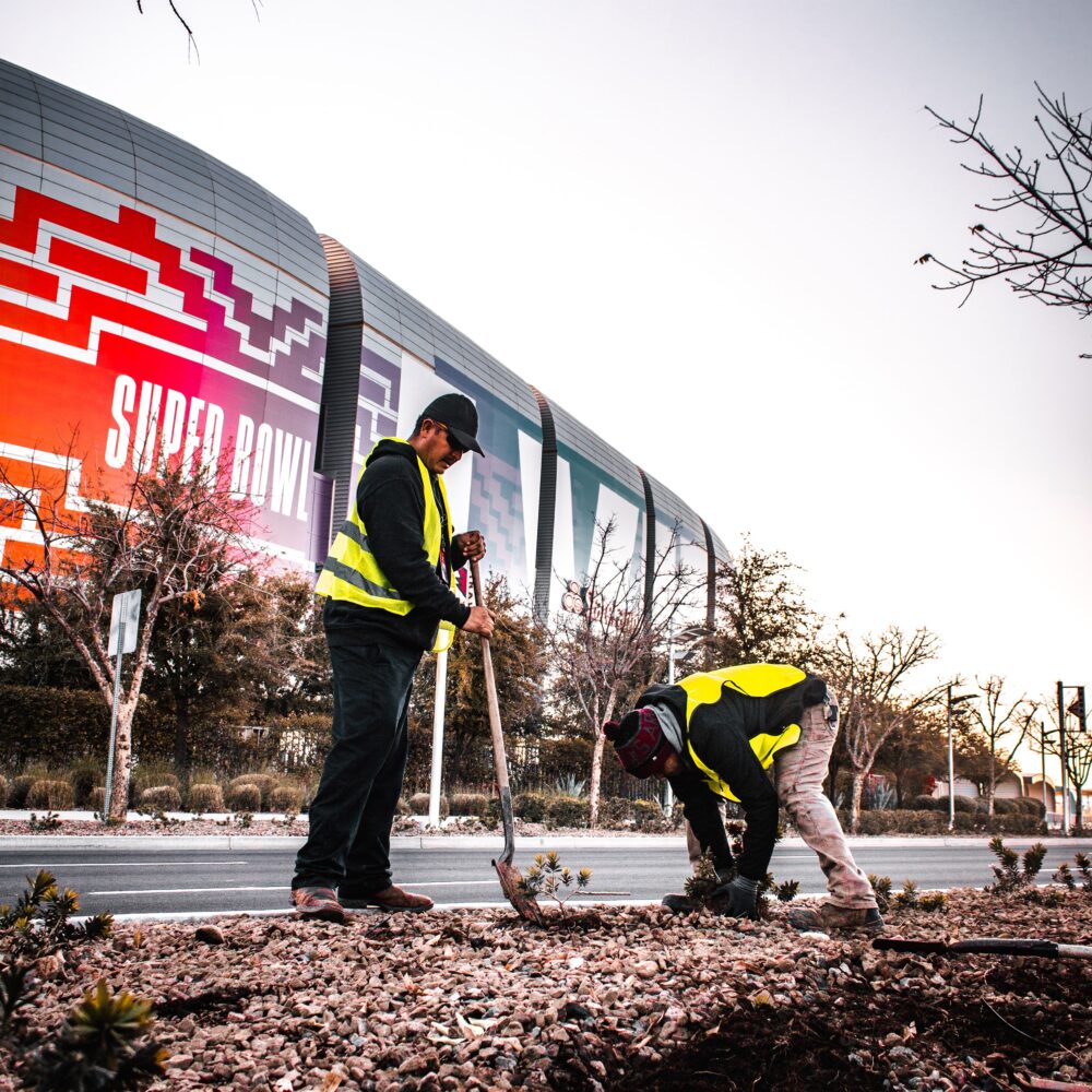 Landscapers Phoenix AZ | South Mountain Landcare